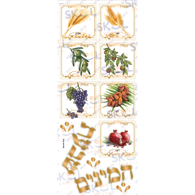 Shivas Haminim Centerpiece Laminated – Skool Krafts