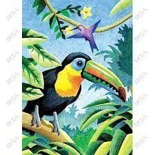 Tropical Birds Mini Color Pencil – Skool Krafts