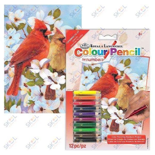 Pair Of Cardinals Mini Color Pencil By Number Set – Skool Krafts